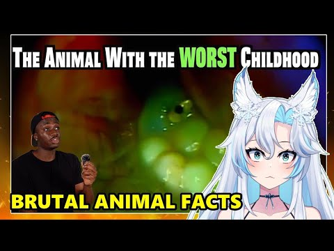 ANIMALS THAT GET THE MIDDLE FINGER FROM MOTHER NATURE 😭 || Casual ...