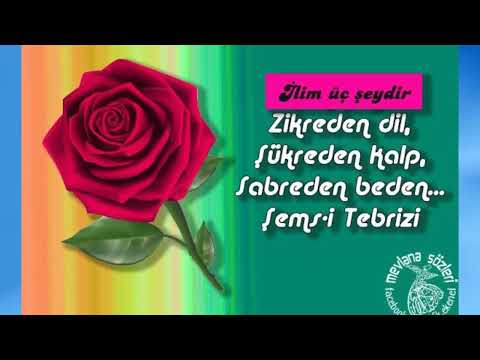Ayağında Diken Yarası Olmayan, Sinesine Gül Kokusu Süremez... Şemsi Tebrizi Sözleri
