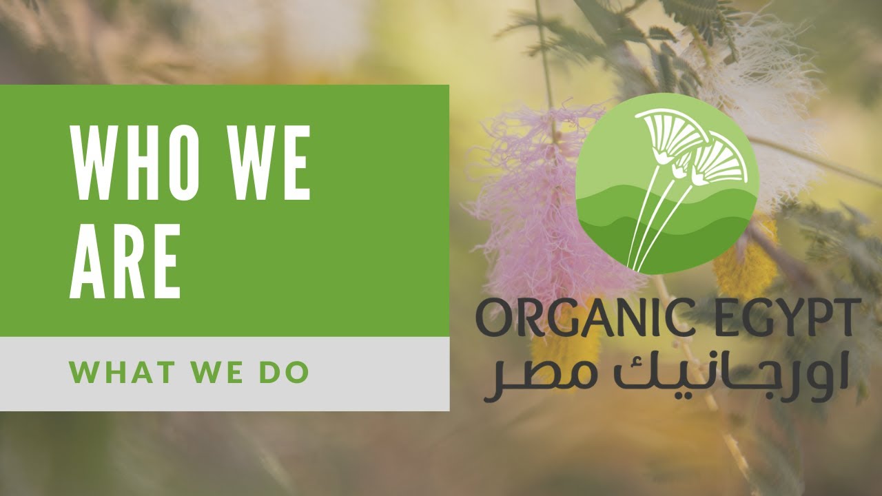 Organic Egypt - YouTube