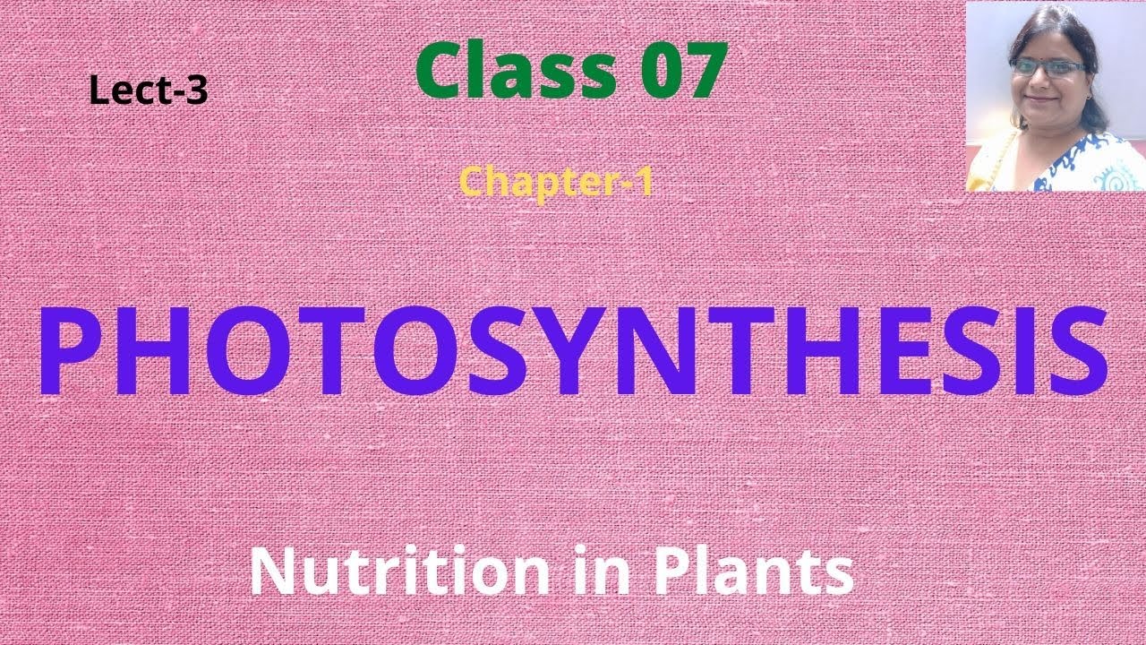 Photosynthesis-Class-7 CBSE-Science-Biology-Nutrition in Plants-NCERT ...