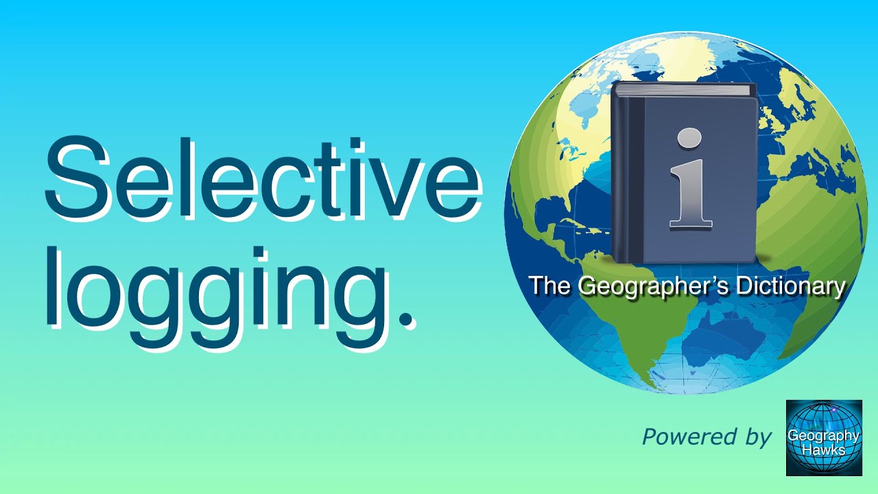 Selective logging. The Geographer’s Dictionary. @GeographyHawks - YouTube