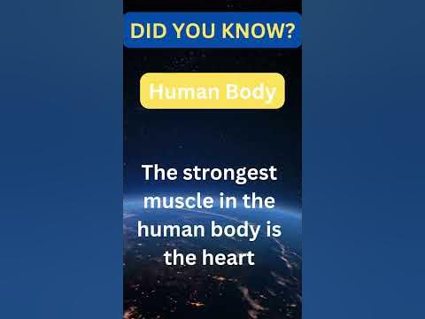 DID YOU KNOW? | HUMAN BODY - YouTube