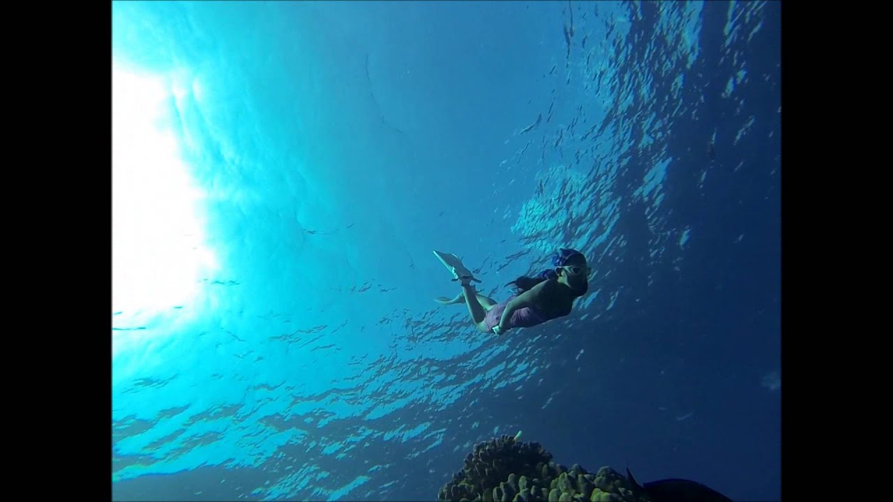 Freediving at Green Island - YouTube
