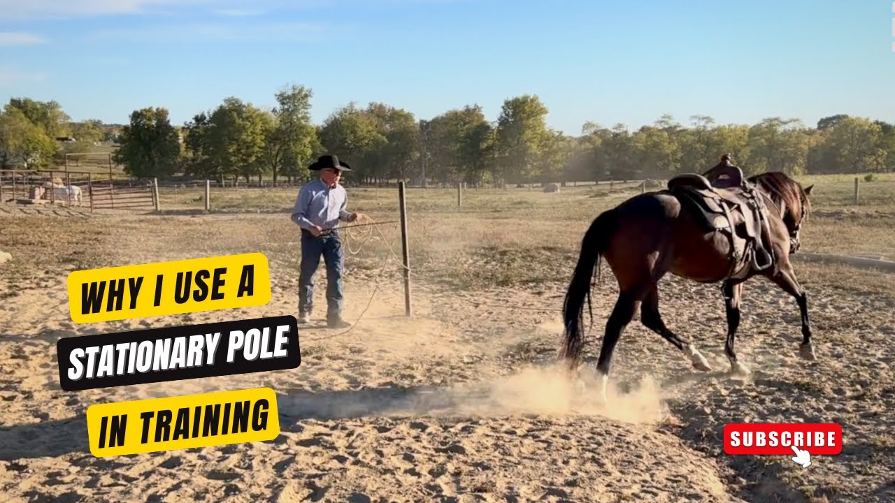 Why I Use A Stationary Post In My Horse Training - YouTube