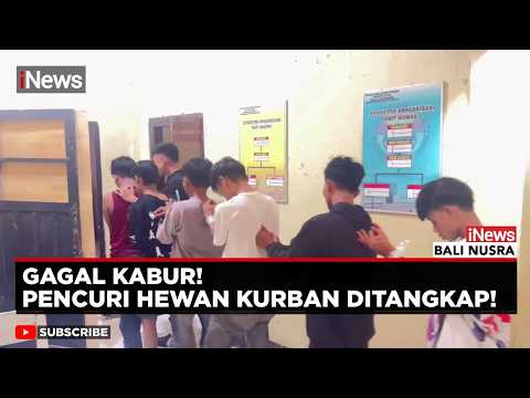 Komplotan Pencuri Kambing Ditangkap di Dermaga Buton, 2 Pelaku Masih Pelajar | iNews Balinusra