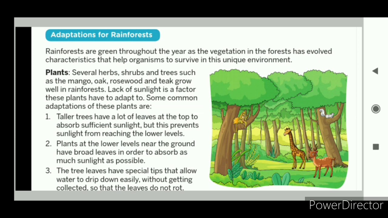 Grade 6: Chapter 10(Habitat and Adaptation) - YouTube
