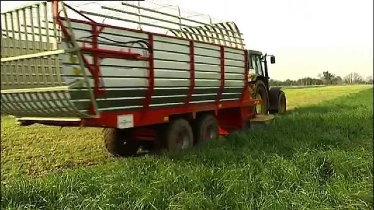 Zerograzer - YouTube