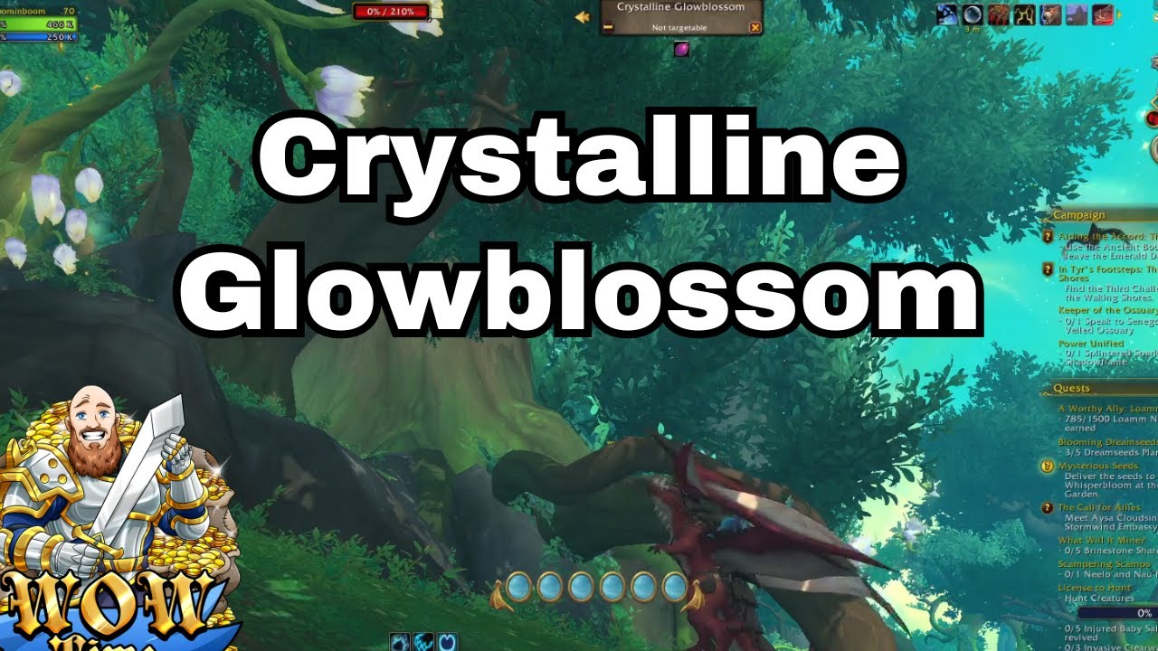 How To Get The Crystalline Glowblossom - Dream Emerald Treasure WoW ...