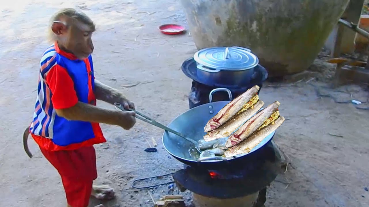 Great Job ! SokYaa Fried Triangle Fish To Feed OG In The Morning - YouTube