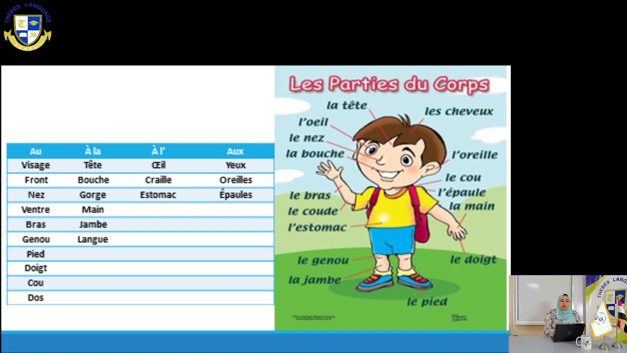 Prep 2 |French| Unite 3 Sante lexique Week 7 (2020-2021) - YouTube