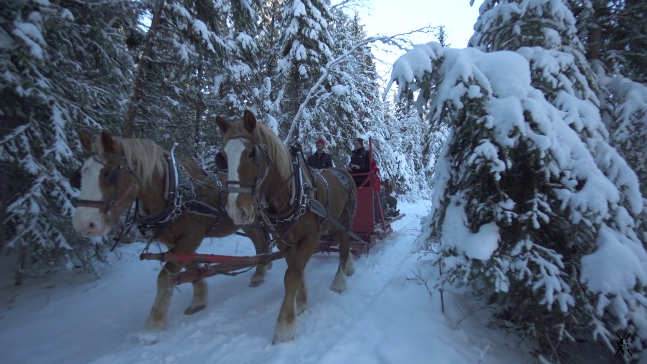 Winter- The Cariboo - YouTube