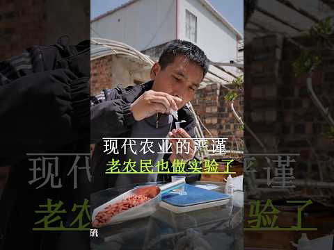 最後一批無硫枸杞到貨，做個簡單測試看有沒有被調包