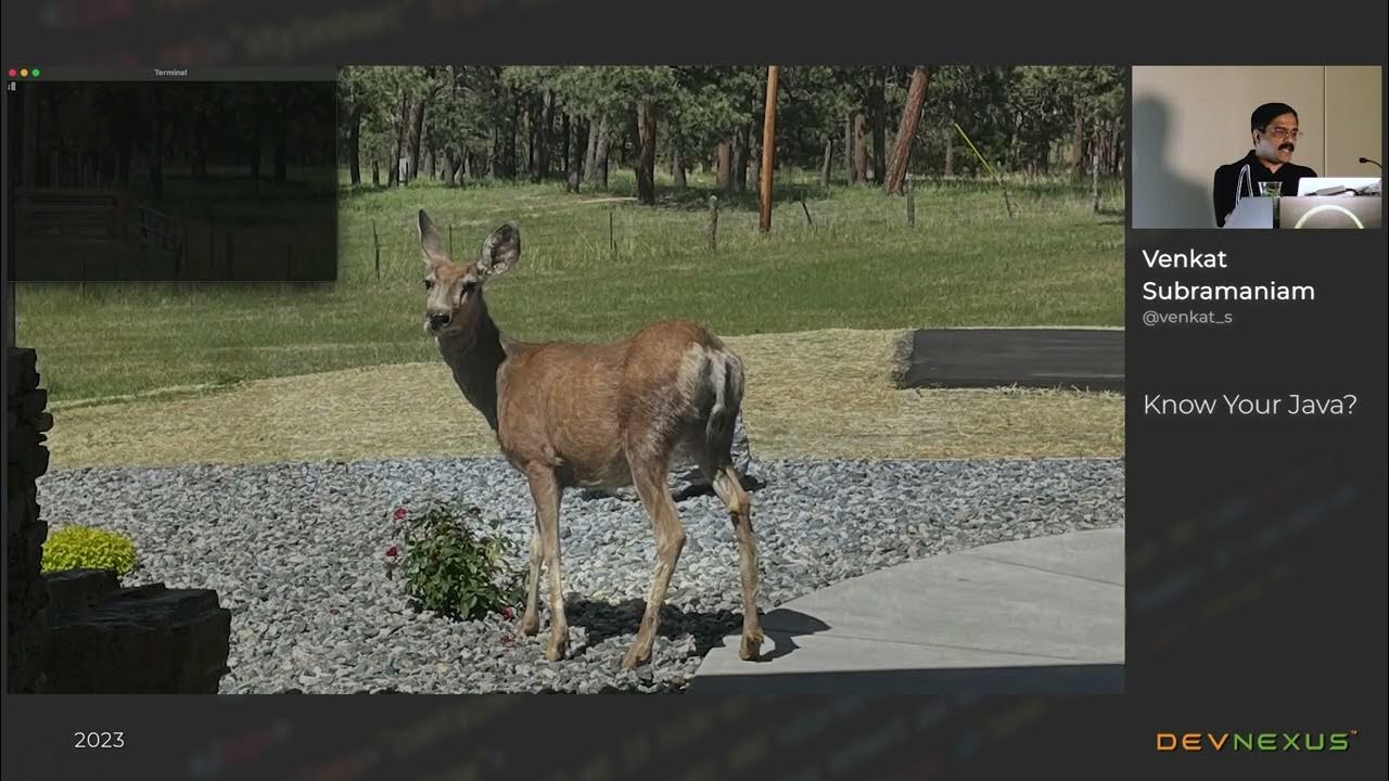 Devnexus 2023 - Know Your Java - Venkat Subramaniam - YouTube