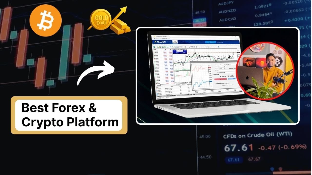 Best Forex Broker Platform Overview | TradingView Web Terminal & Key ...