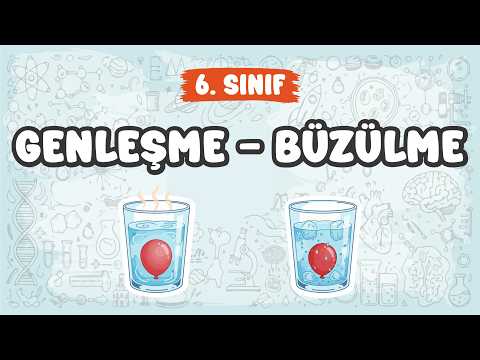 Genleşme ve Büzülme | 6. Sınıf | 2026