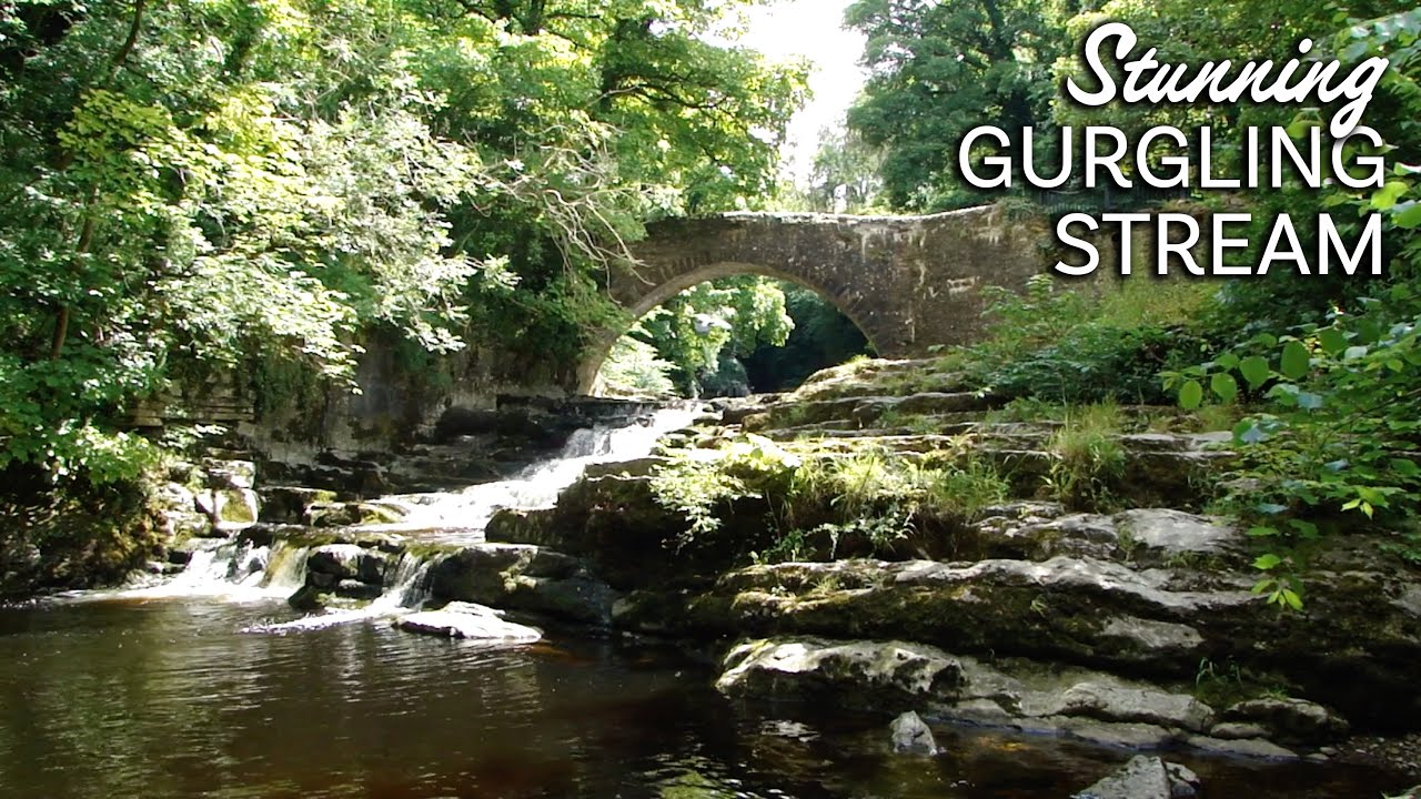 Gurgling Stream Under an Ancient Bridge on a Hot Summer's Day | 3 Hours ...