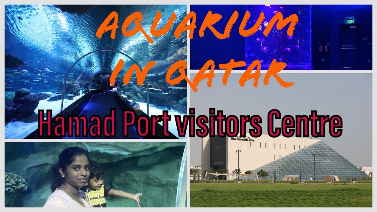 Aquarium | 4D theater | Hamad Port Visitors Centre | - YouTube