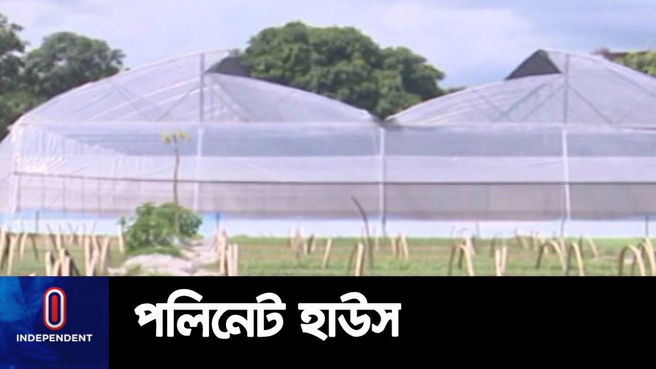 জলবায়ু পরিবর্তনের ঝুঁকি মোকাবেলায় কৃষিতে দিনদিন জনপ্রিয় হচ্ছে পলিনেট ...