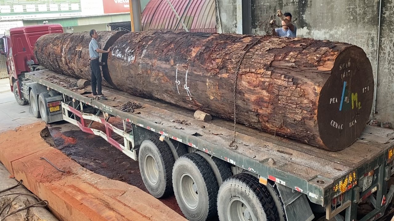 The Largest Wood Processing Factory in the Country - Perennial Wood ...