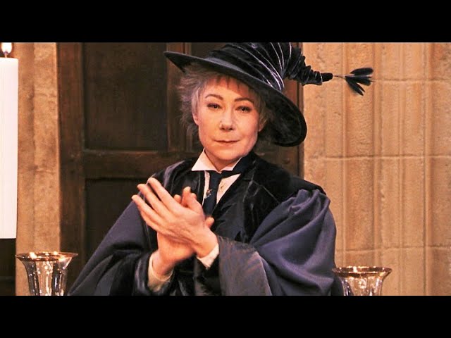 Harry Potter Madam Hooch