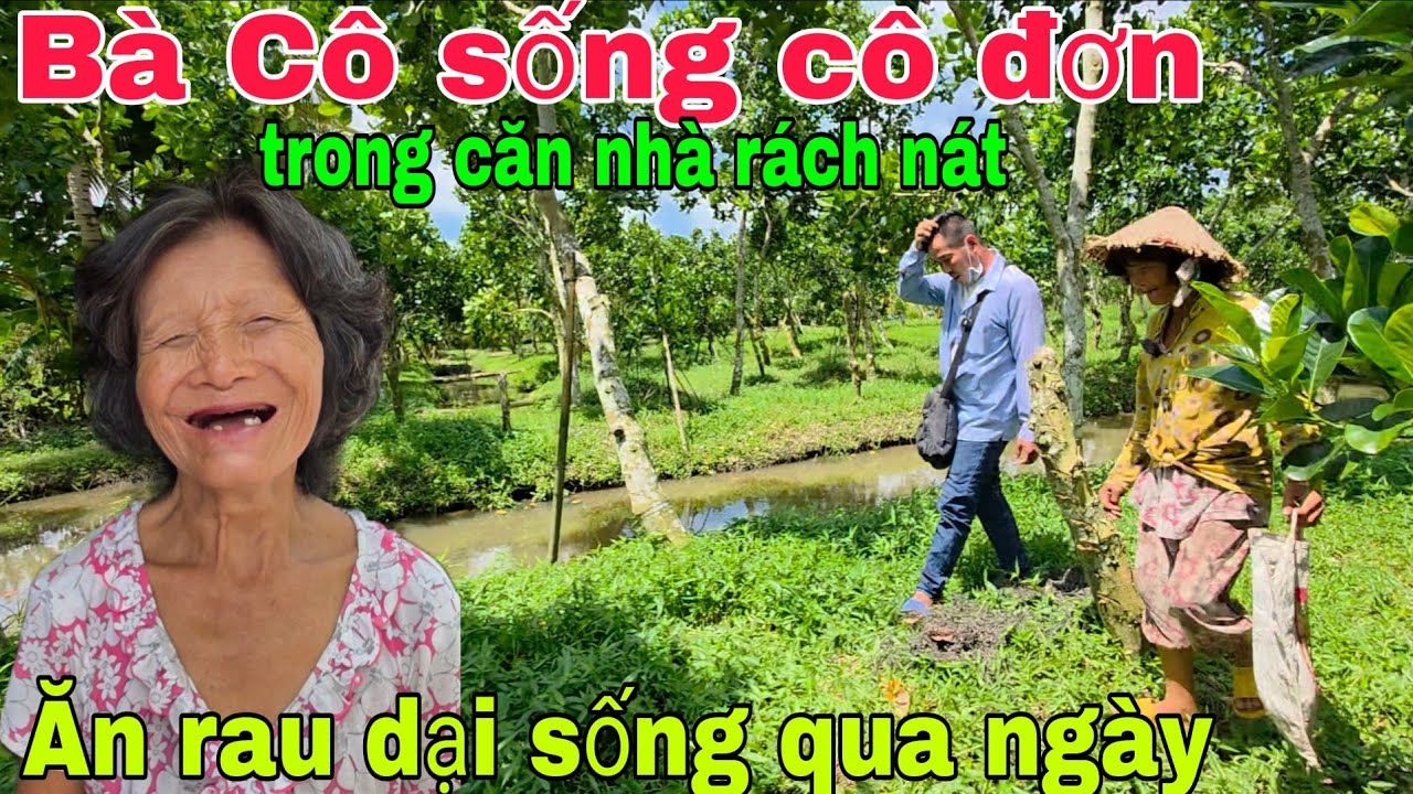 Bà lão sống cô đơn trong căn nhà rách nát ăn rau dại sống qua ngày ...