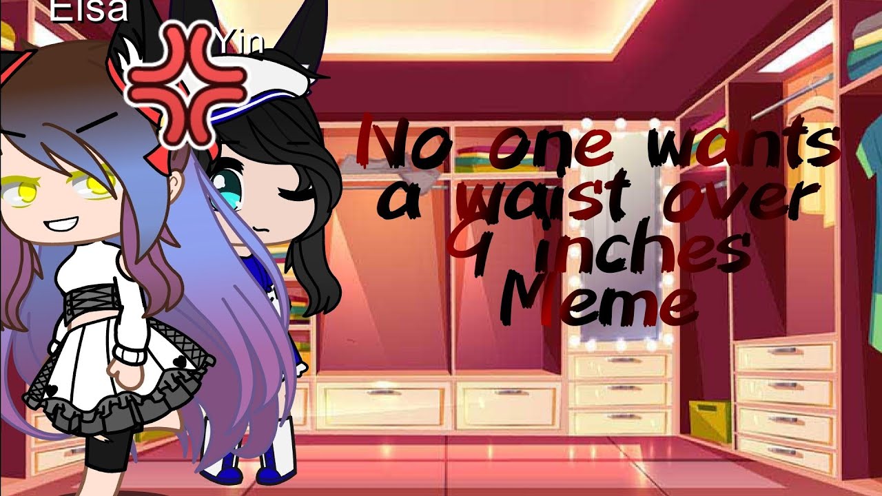 No one wants a waist over 9 inches Meme but only a BIT different ...