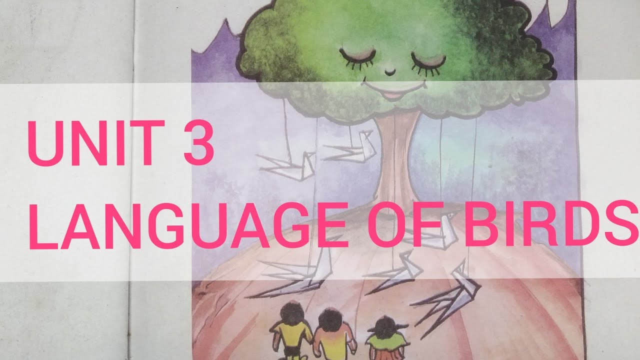 Unit 3 | The Language Of Birds | The Teaching Bird. - YouTube
