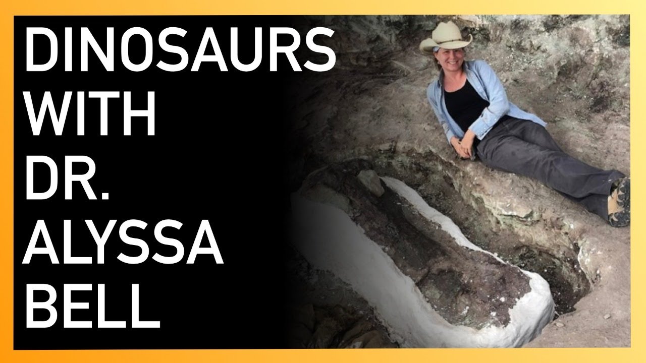 Episode 50 - All about dinosaurs! An interview with Dr. Alyssa Bell ...