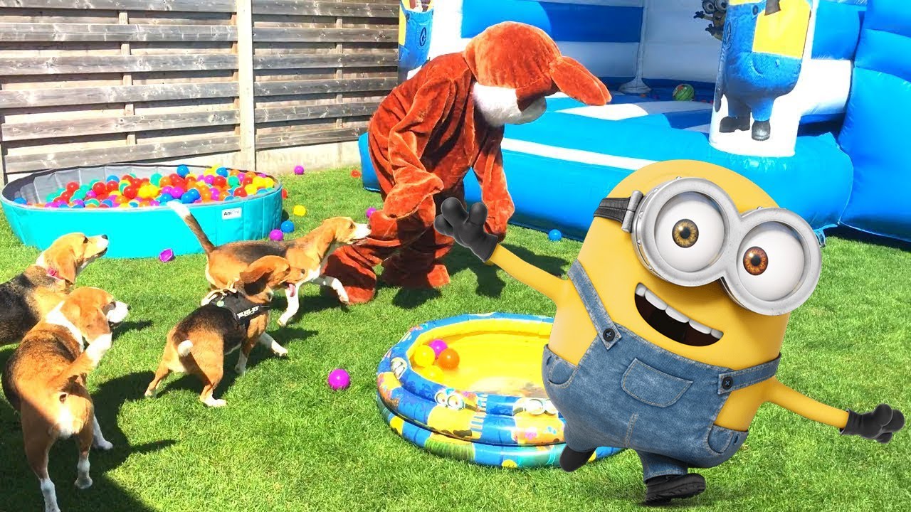 THROWING MY DOGS A MINION THEMED BIRTHDAY BALL PIT POOL PARTY - YouTube