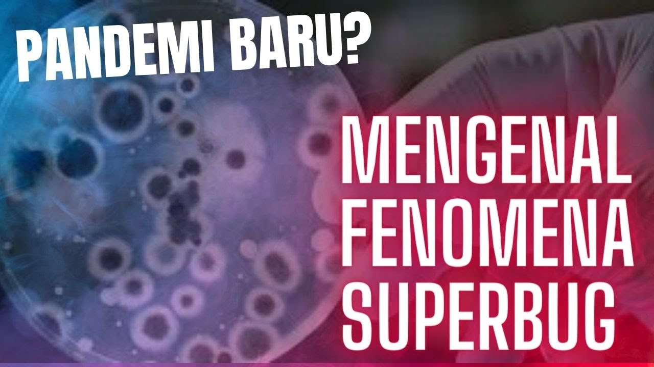 India Digegerkan oleh Fenomena Superbug, Berpotensi Pandemi Baru?? - YouTube