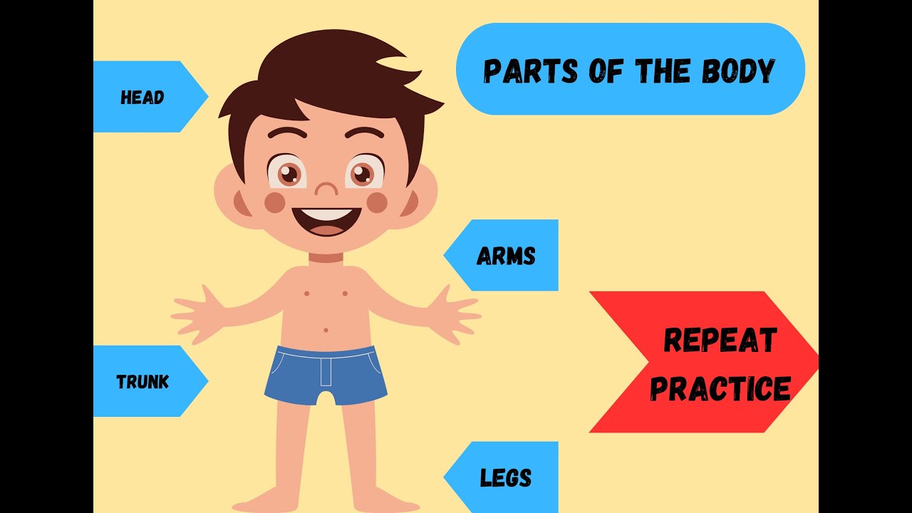 Parts of the Body Kids Practice | Learn Body Parts - YouTube