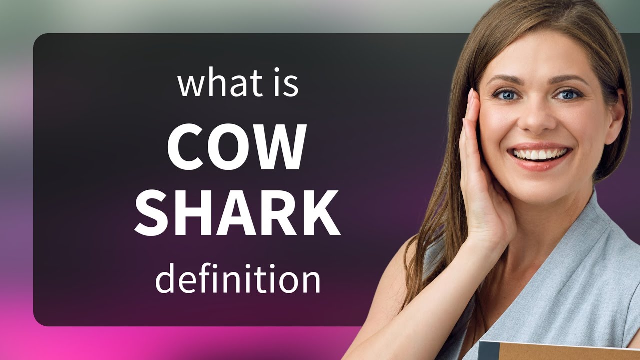 Cow shark | COW SHARK meaning - YouTube