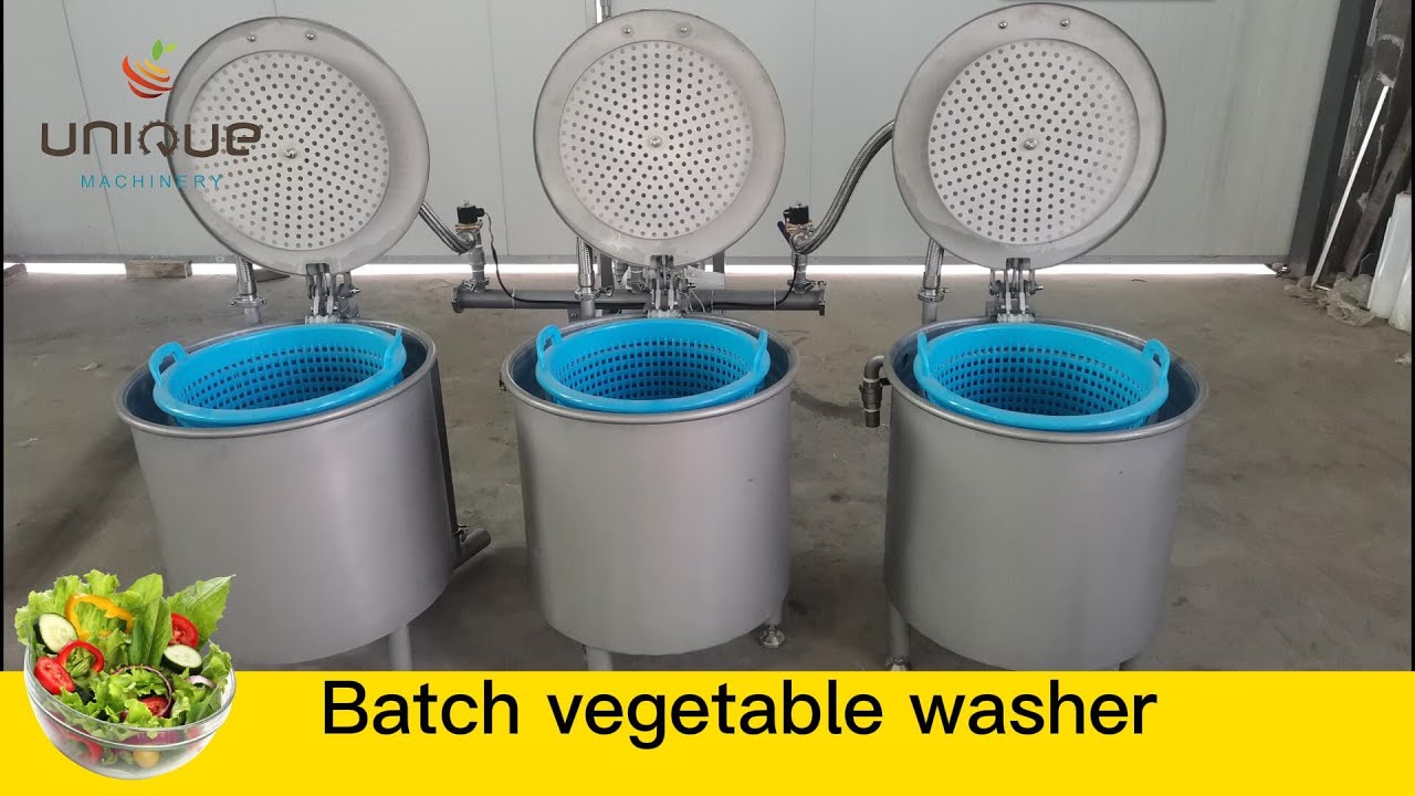 Batch vegetable washing machine from Zibounique - YouTube
