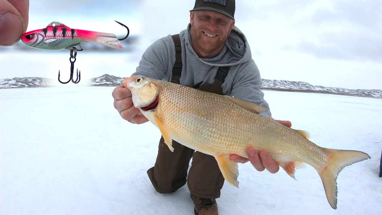 Early Spring Fishing Jitter Jigging Slapping Whitefish / Walleye TRY ...
