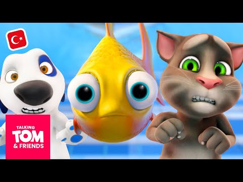 Konuşan Tom ve Arkadaşları - Balık Meselesi | 2. Sezon 24. Bölüm