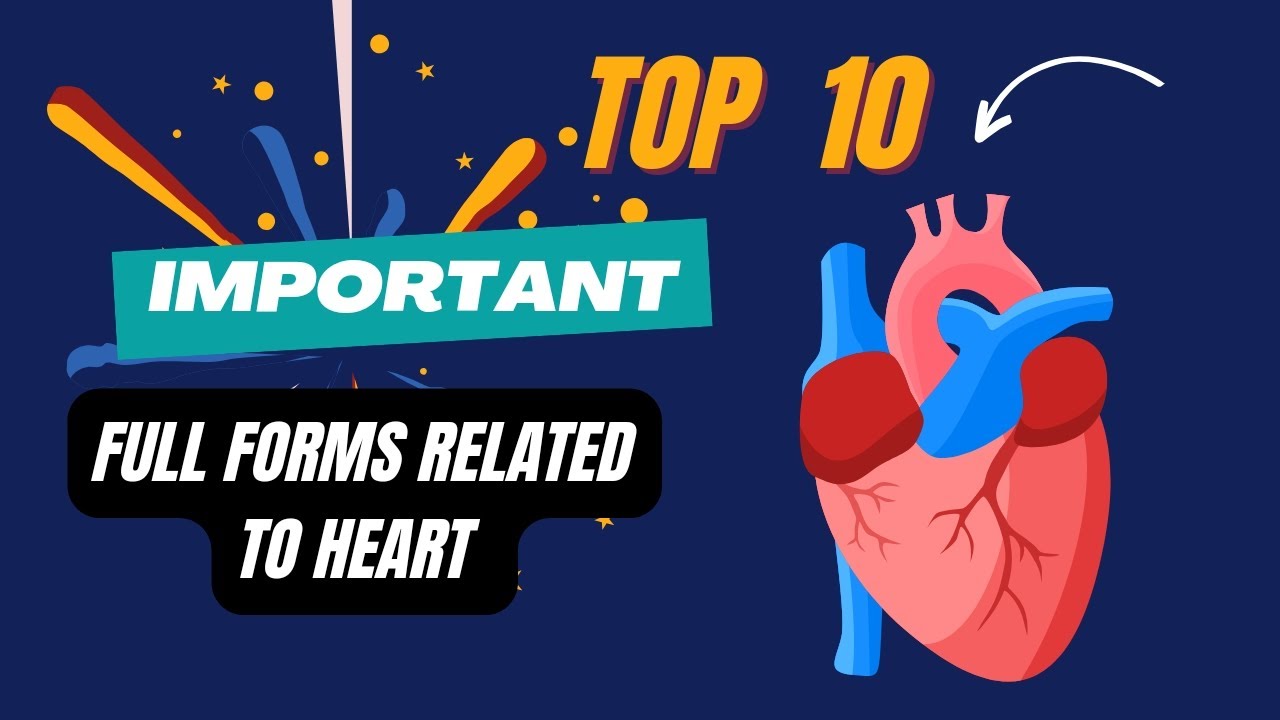 TOP 10 IMPORTANT Full Forms Related to HEART 🫀@NURSINGstation12 - YouTube