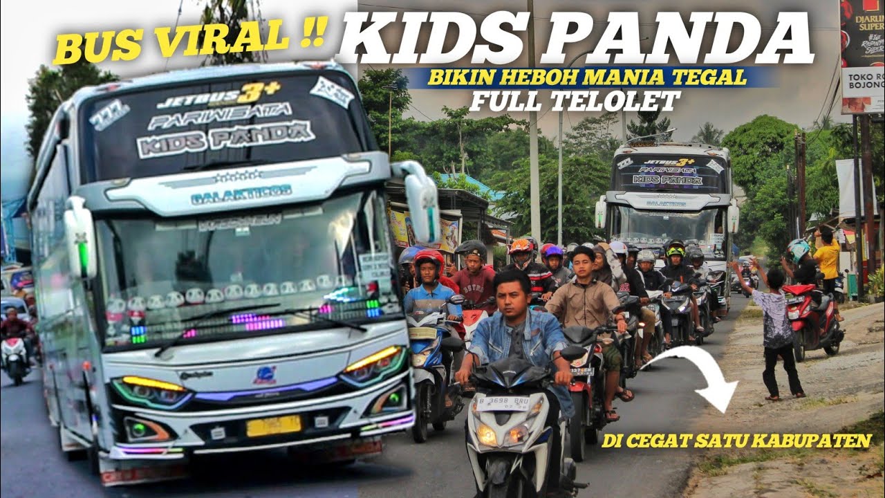 SEHEBOH INI ‼️ KEDATANGAN BUS VIRAL TJ KIDS PANDA ] FULL TELOLET SEPANJANG JALAN - YouTube