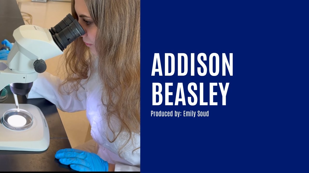 Addison Beasley - YouTube