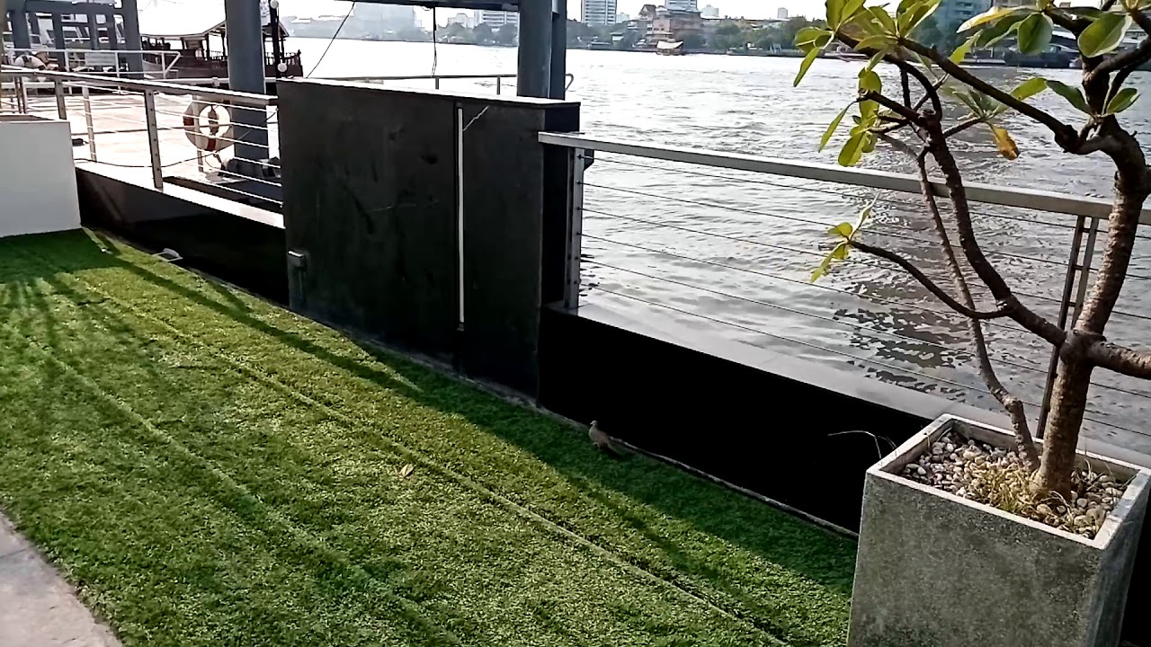 Huawei Y6s Rear Video Sample