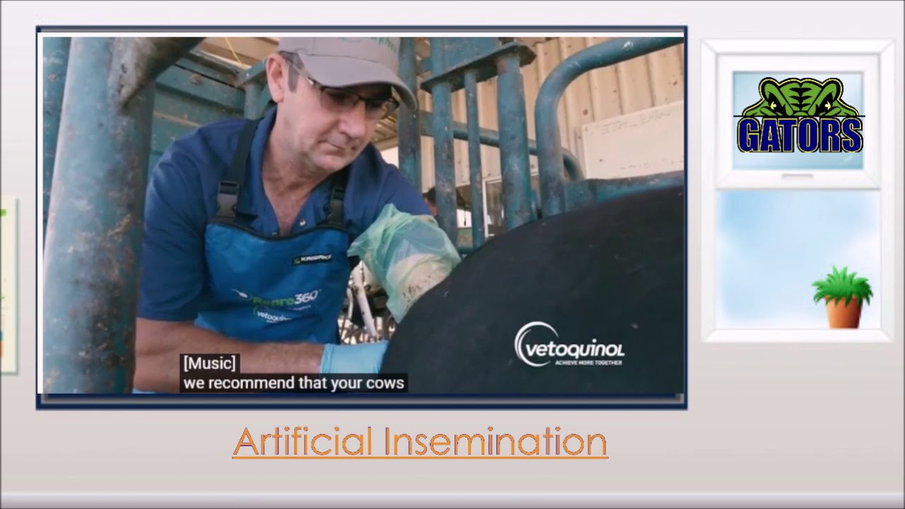 Livestock Reproduction Methods - YouTube