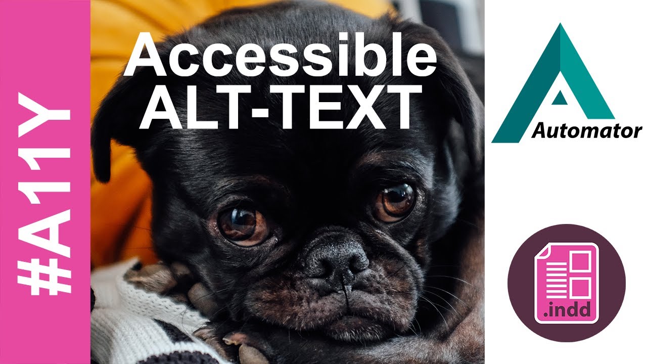 InDesign Accessibility Script for Alt Text - YouTube