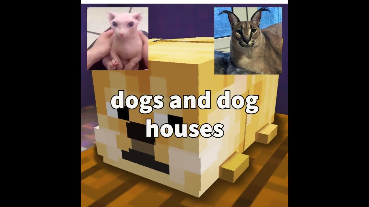 Bingflop SMP | Ep. 2 - dogs and dog houses - YouTube