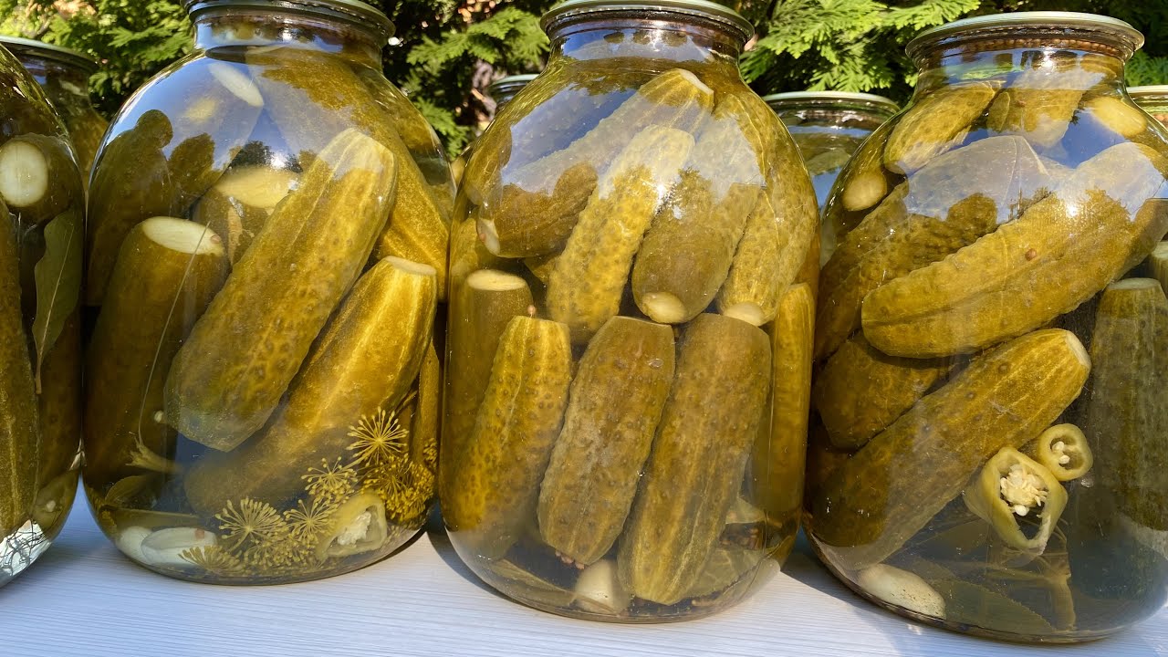 Qaynadılmadan hazırlanan ən asan ən ləzzətli xiyar turşusu - YouTube