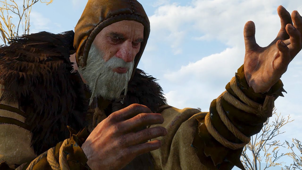 The Truth is in the Stars: Geralt and Old Sage (Witcher 3 | Soothsayer ...