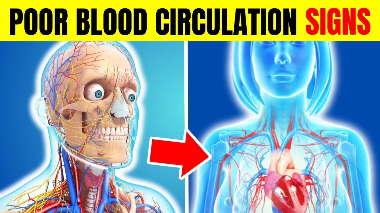 10 Common Signs Of Poor Blood Circulation That You Should Not Ignore ...