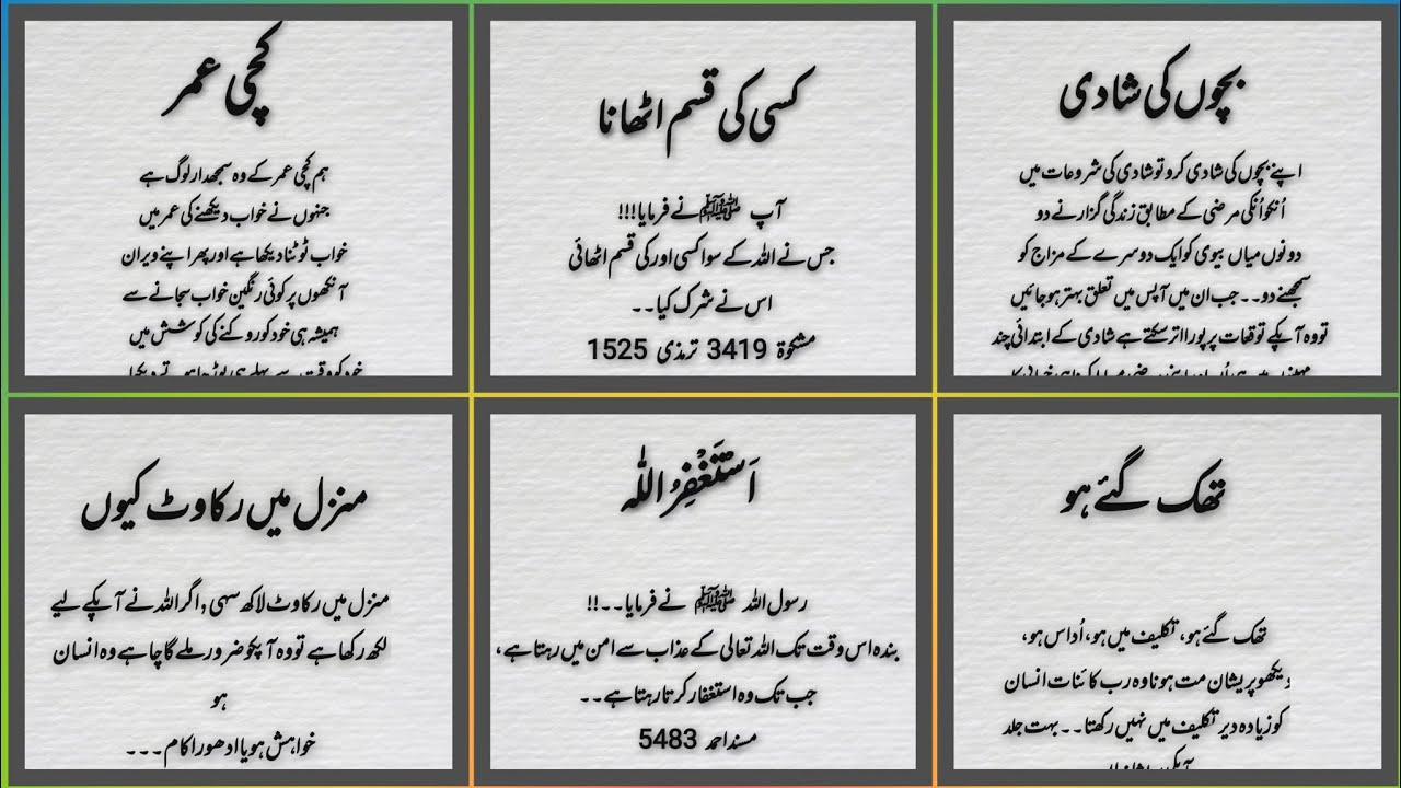 Best Islamic quotes for WhatsApp status | Islamic dp | golden words ...
