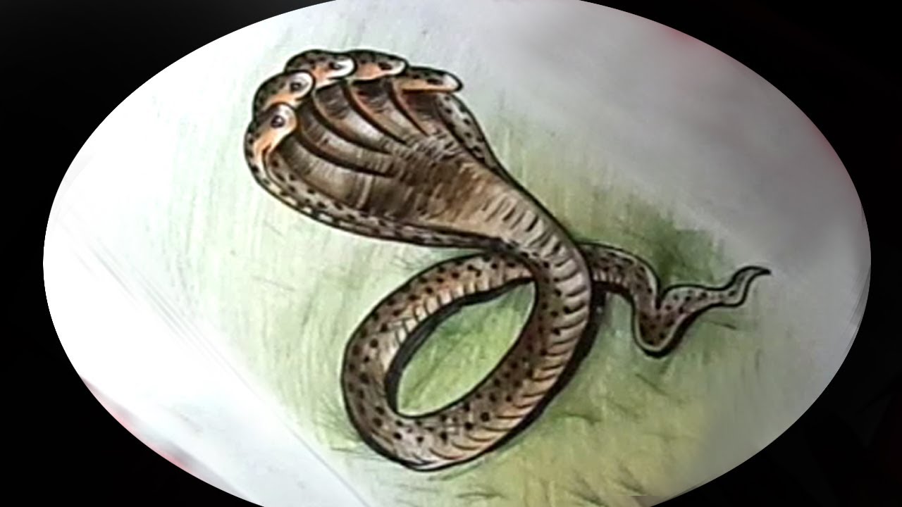 How to Draw Naga Panchami 2020 special drawing easy drawing - YouTube