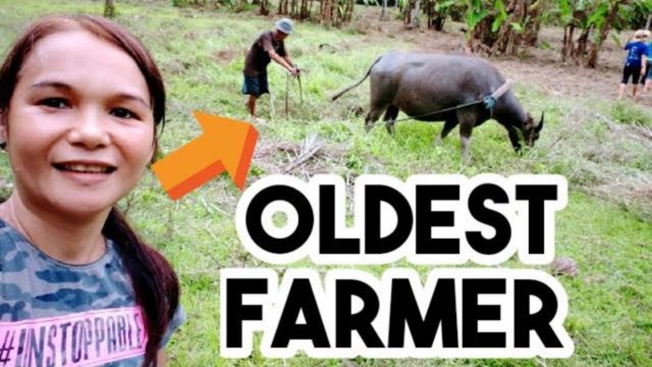 Traditional way of weeding | Suyod sa bukid | A Century House | Farm ...