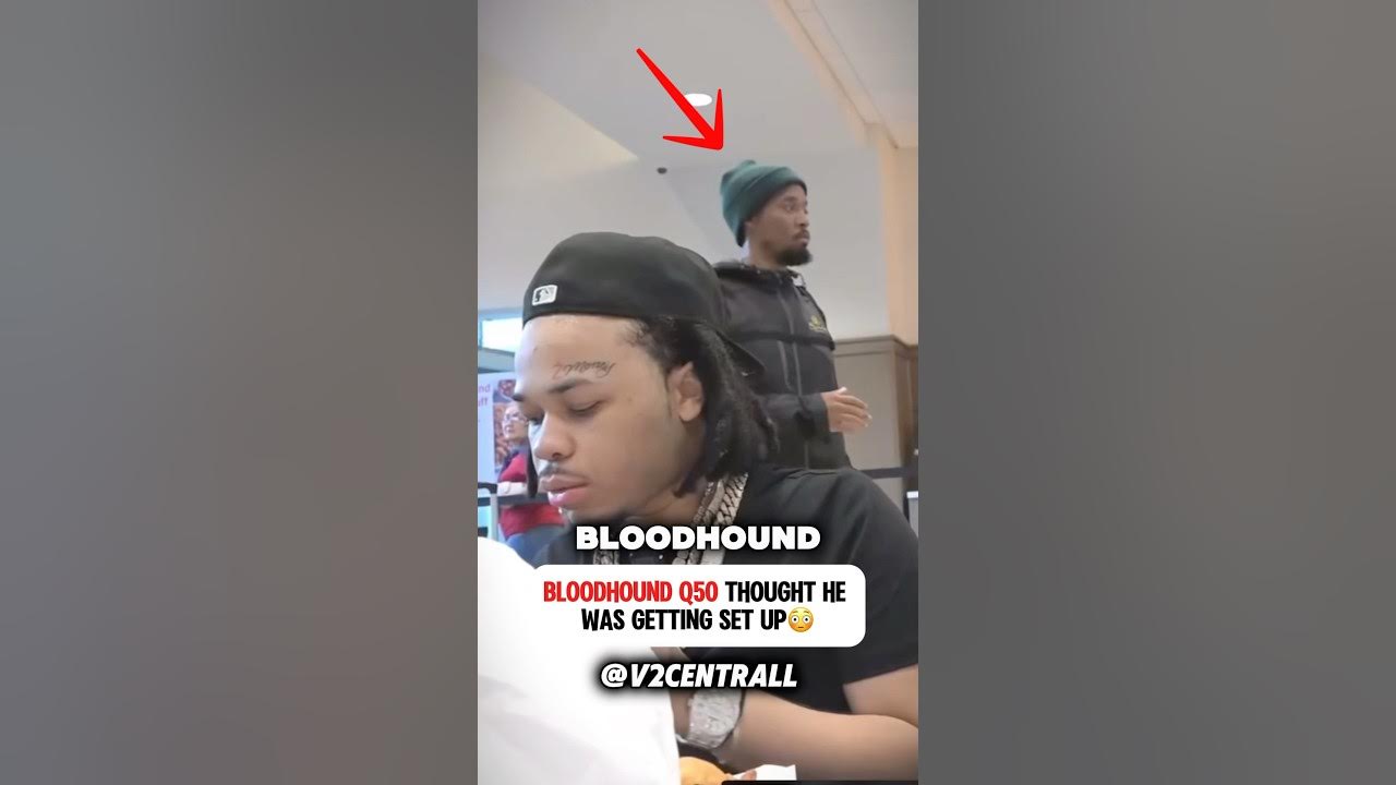 Bloodhound Q50 Thought He Was Getting Set Up😳 #bloodhoundq50 - YouTube