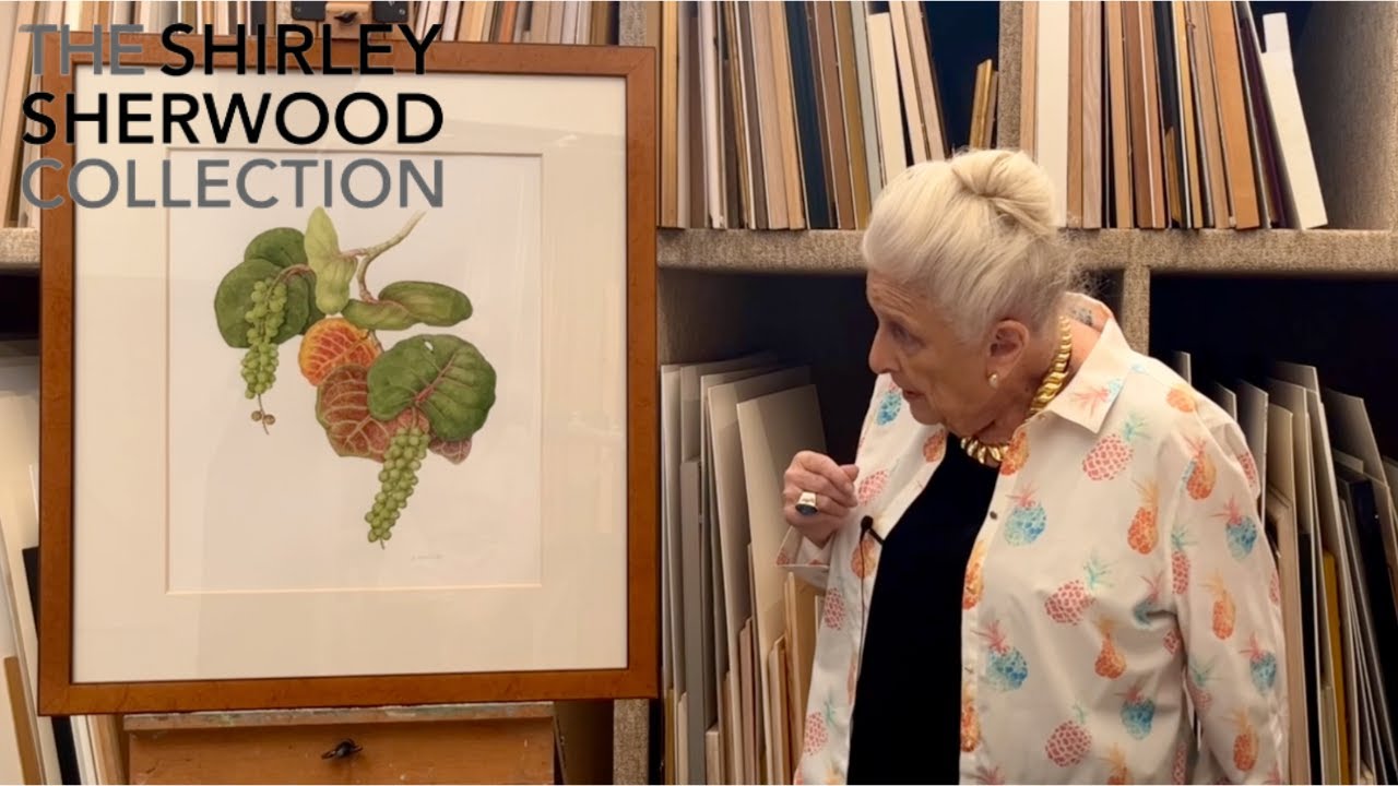 Dr Shirley Sherwood Presents: 'Sea Grapes' by Katherine Manisco. - YouTube